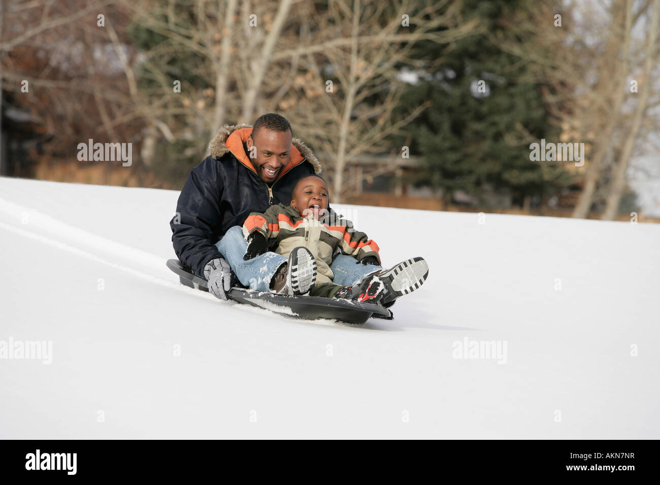 Front view of father and son on sled Stock Photo - Alamy