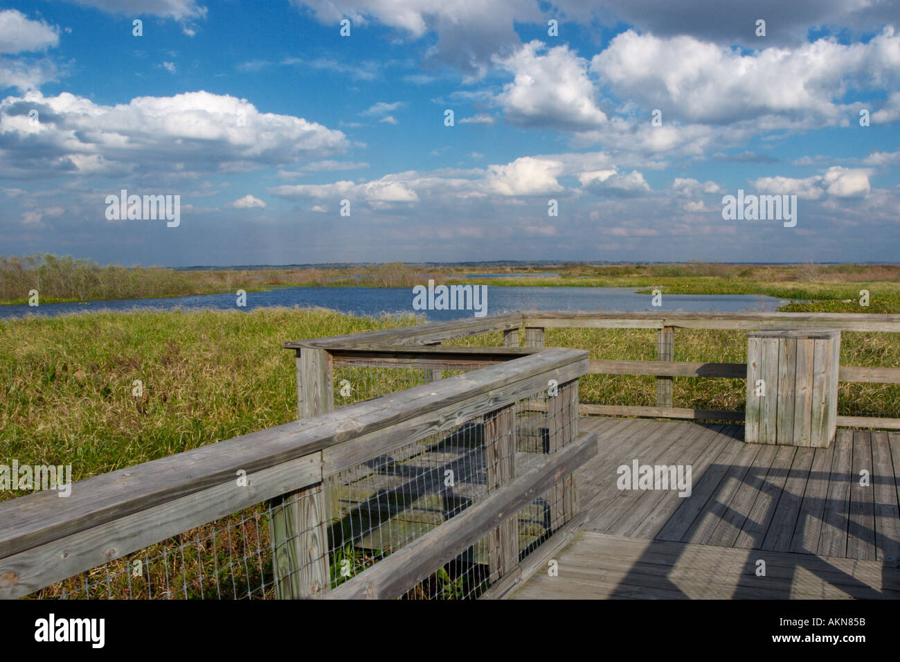 William Bartram Trail at Payne s Prairie south of Gainesville Florida ...