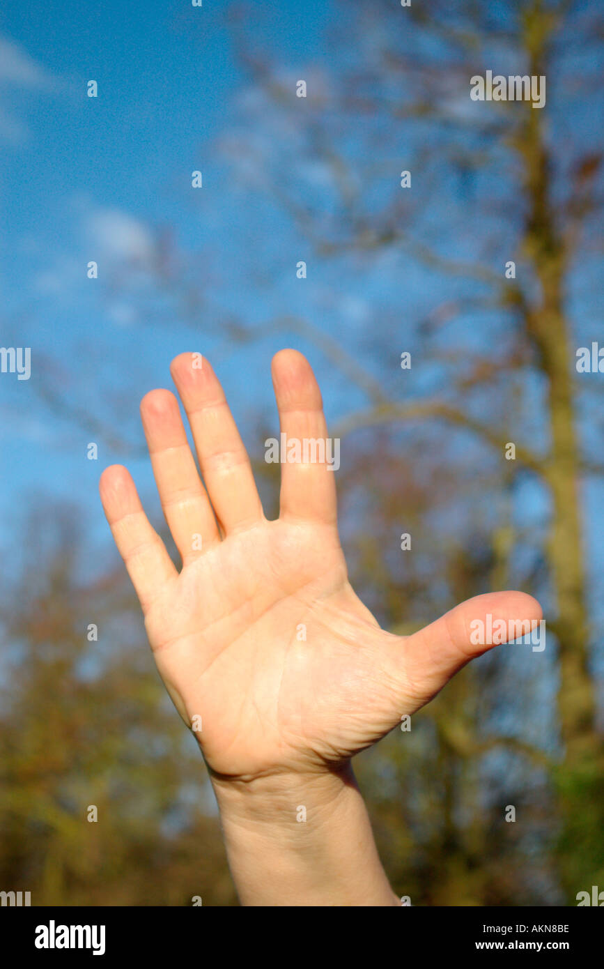 Hand STOP sign or signal Stock Photo - Alamy