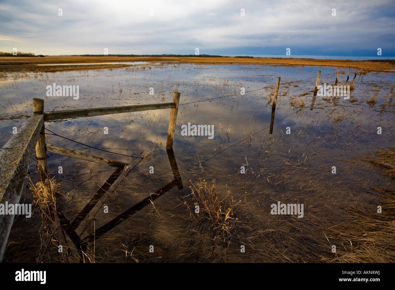 Standing water in a field Stock Photo - Alamy