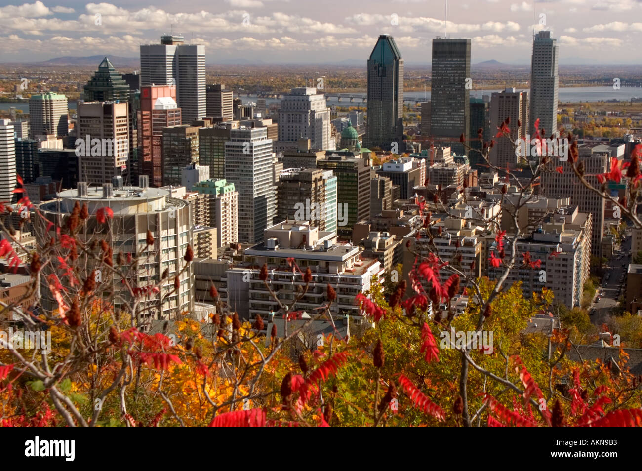 Mount Royal Park, Downtown, Montreal, Quebec, Canada Stock Photo - Alamy