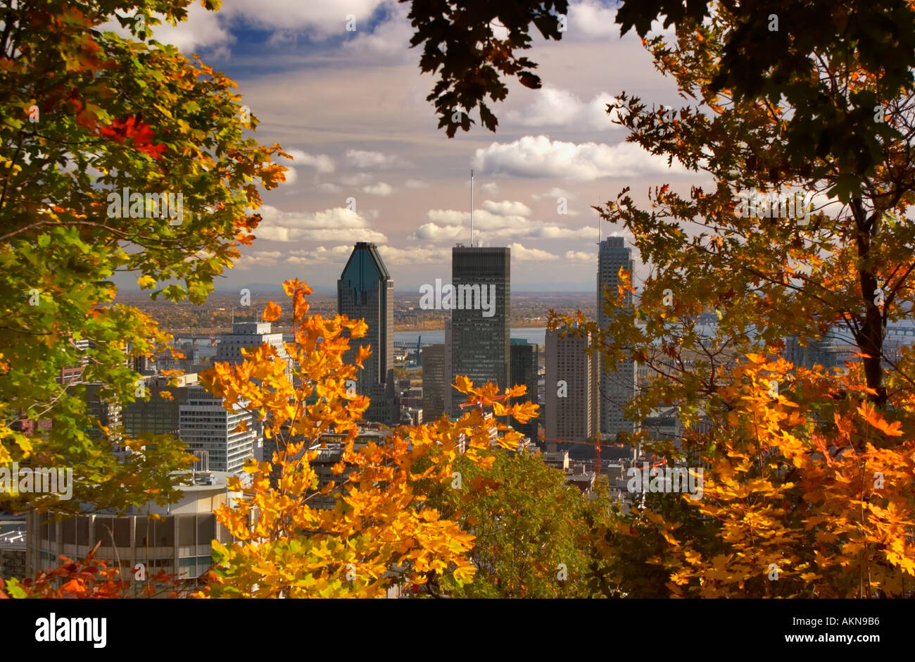 Mount Royal Park, Downtown, Montreal, Quebec, Canada Stock Photo - Alamy