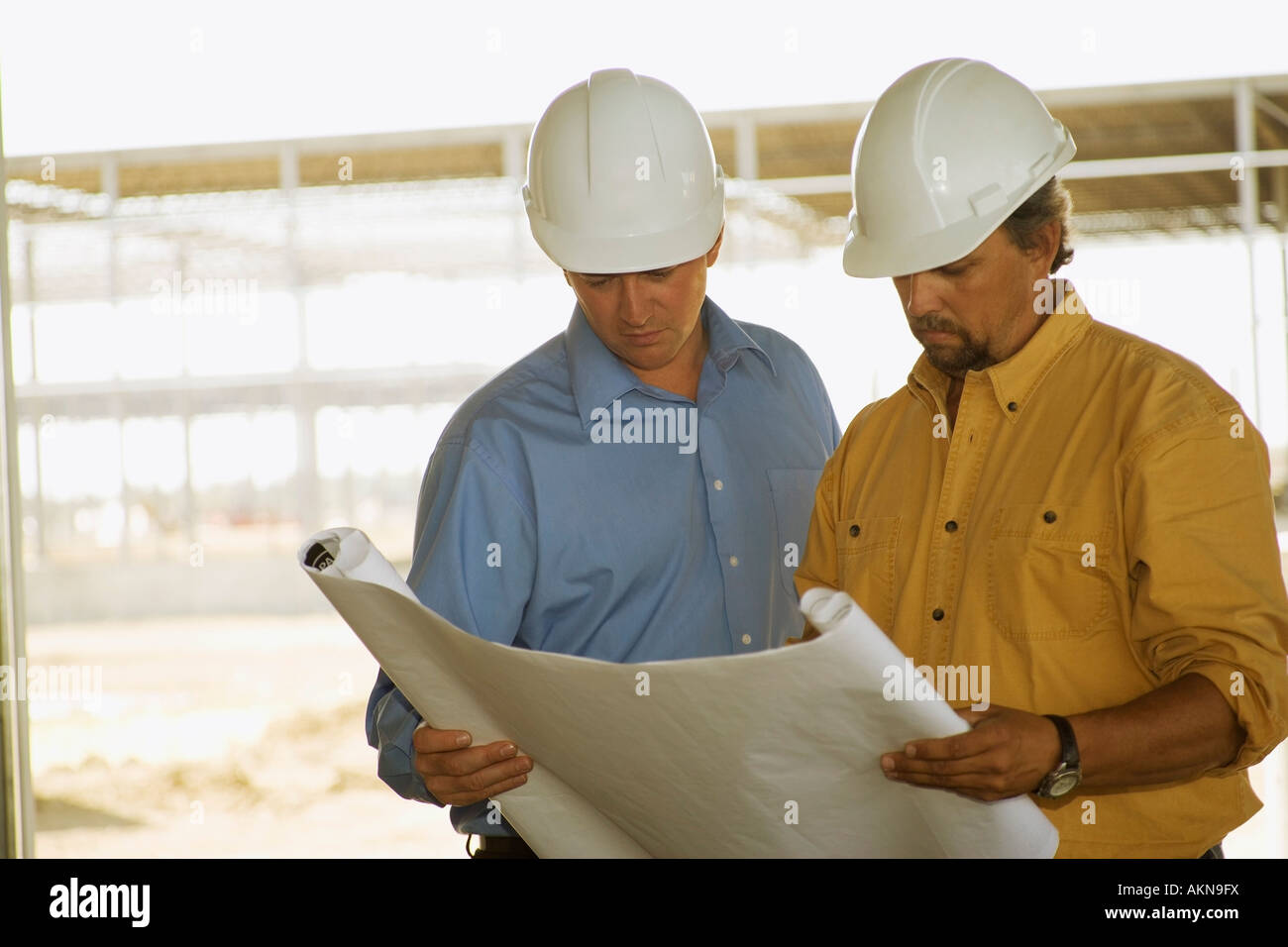 Two men with blueprints Stock Photo - Alamy