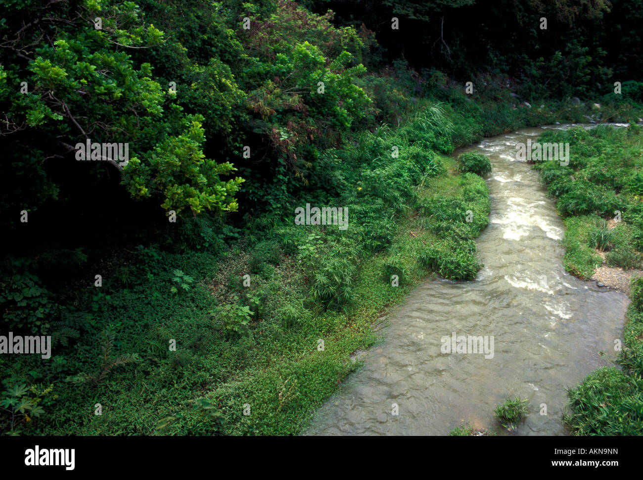 Portuguese River, near city of Ponce, Ponce, Puerto Rico, West Indies ...