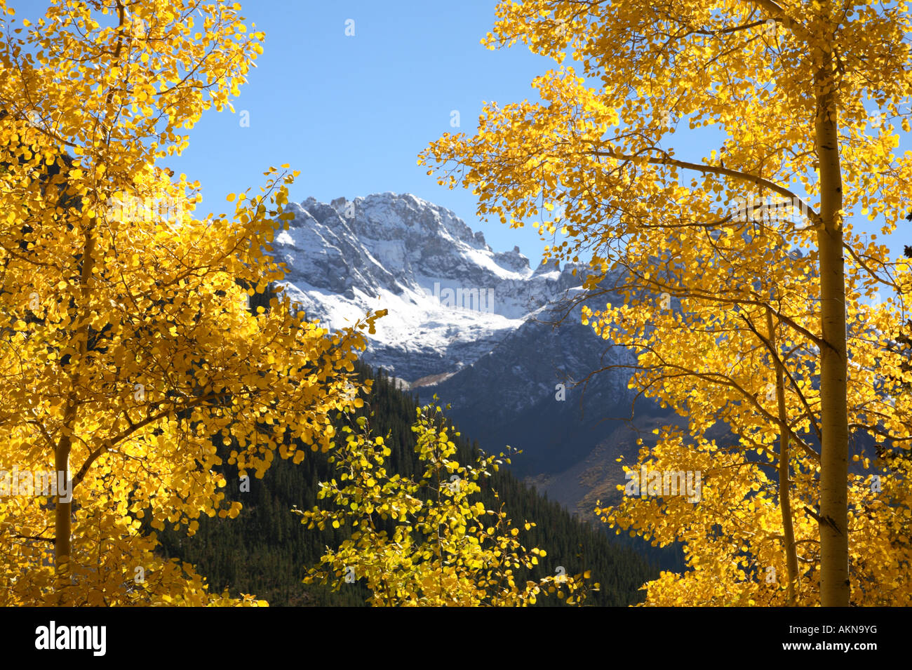 Autumn color in the San Juan Mountains near Telluride, Colorado, USA ...