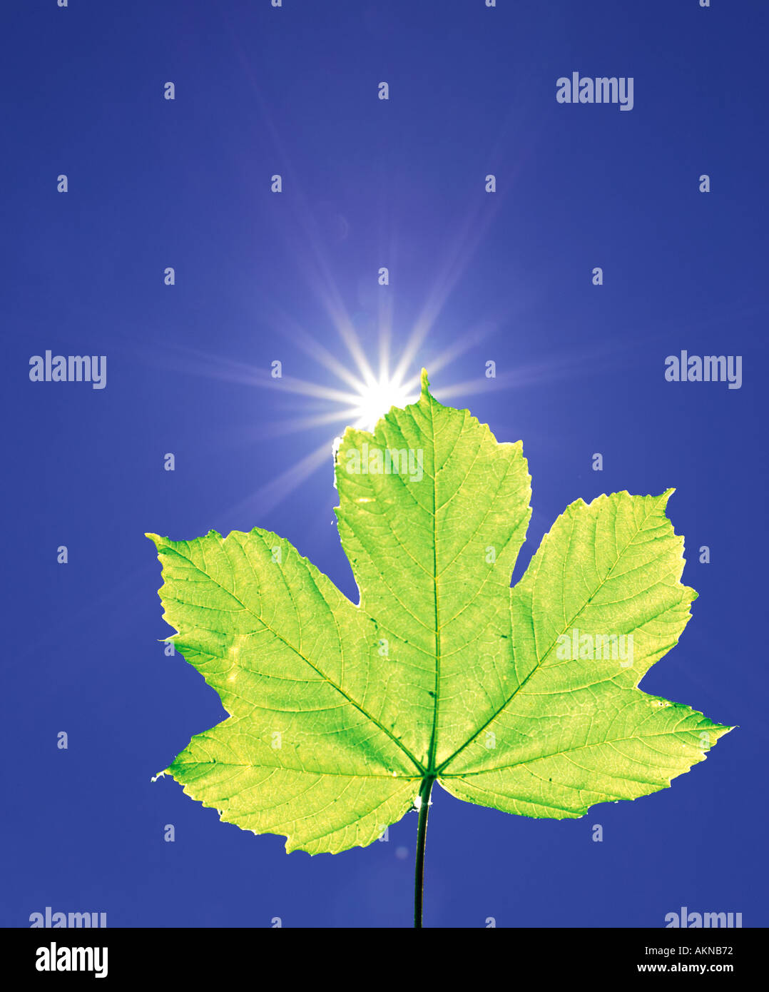 Bright sky light lighting hi-res stock photography and images - Alamy