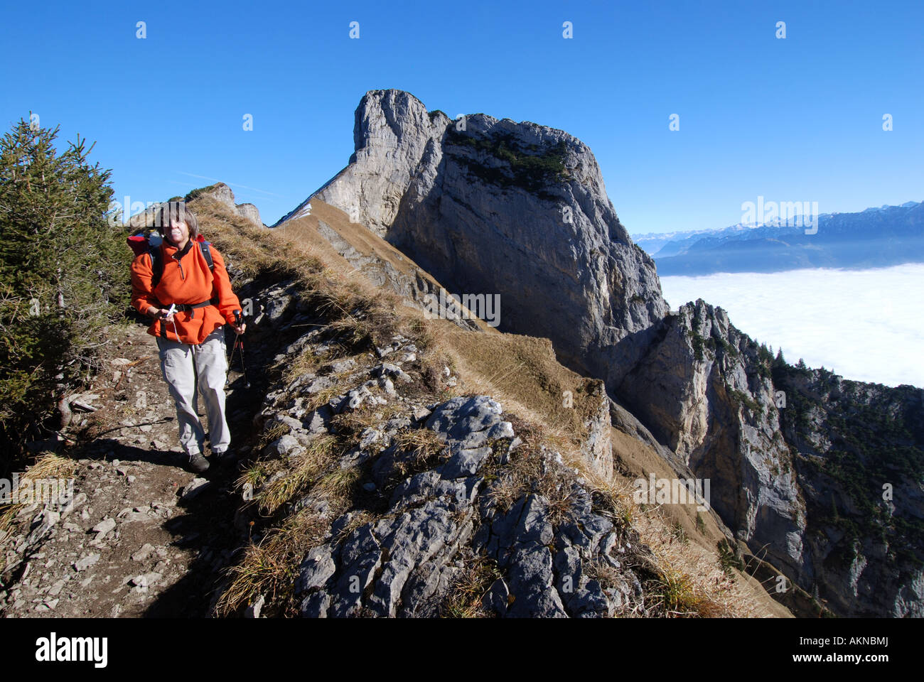 hiking in th Alpstein mountains with fog over the Rhine valley Canton ...