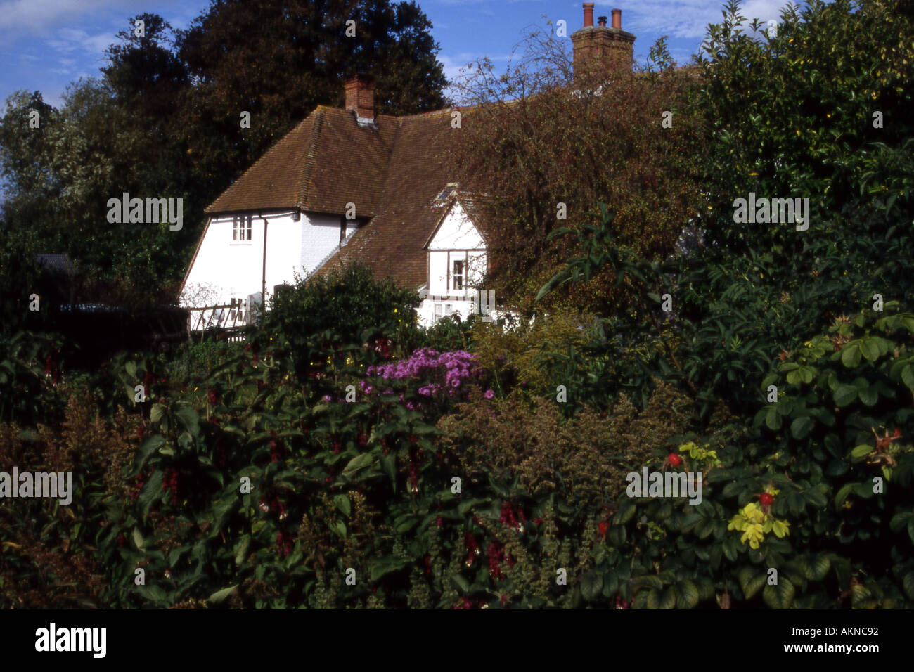 Historic farmhouse and garden at Manor Farm Museum Upper Hamble Country ...