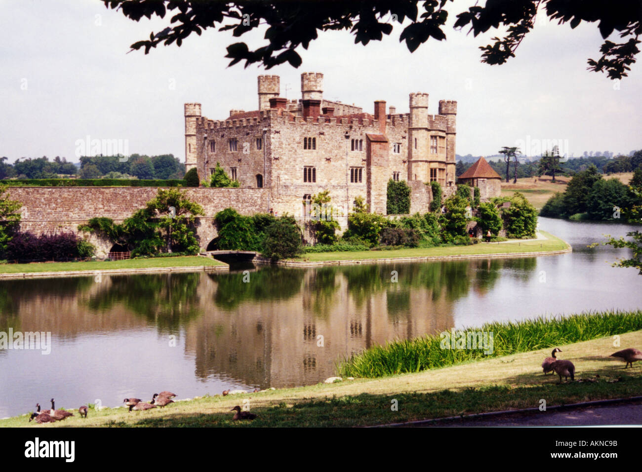 Leeds castle maze hi-res stock photography and images - Alamy