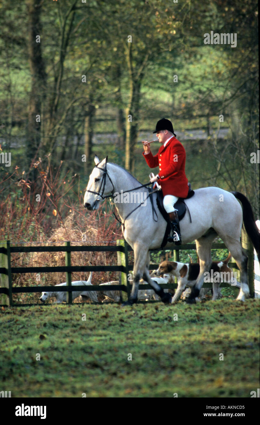 Foxhunting england hi-res stock photography and images - Alamy