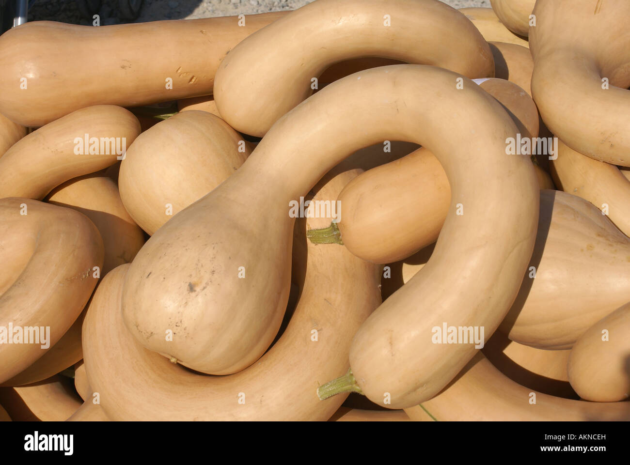 Curved fruit hi-res stock photography and images - Alamy