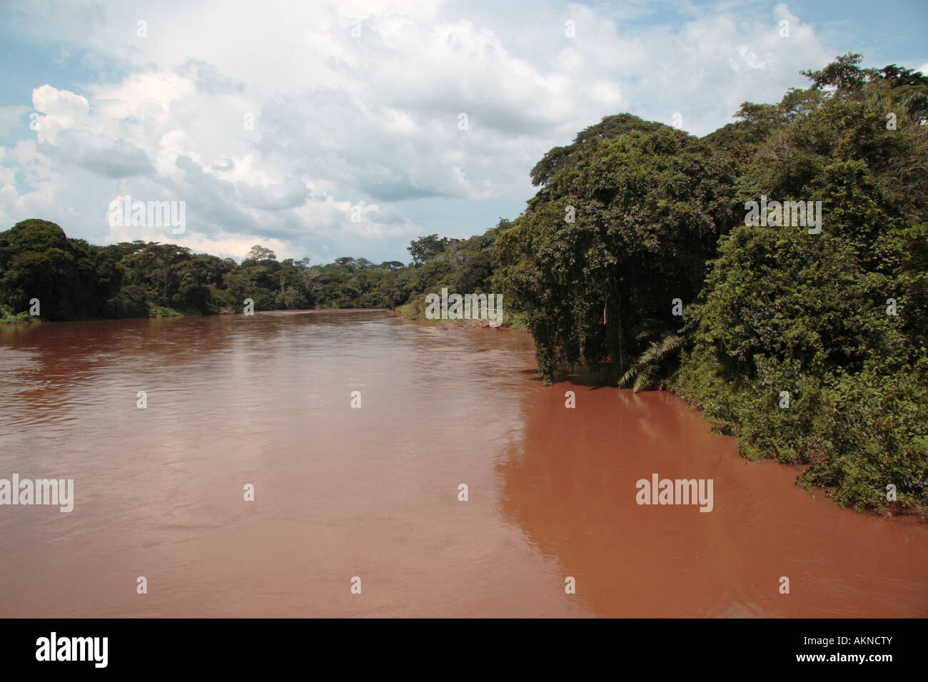 Congo basin rainforest hi-res stock photography and images - Alamy