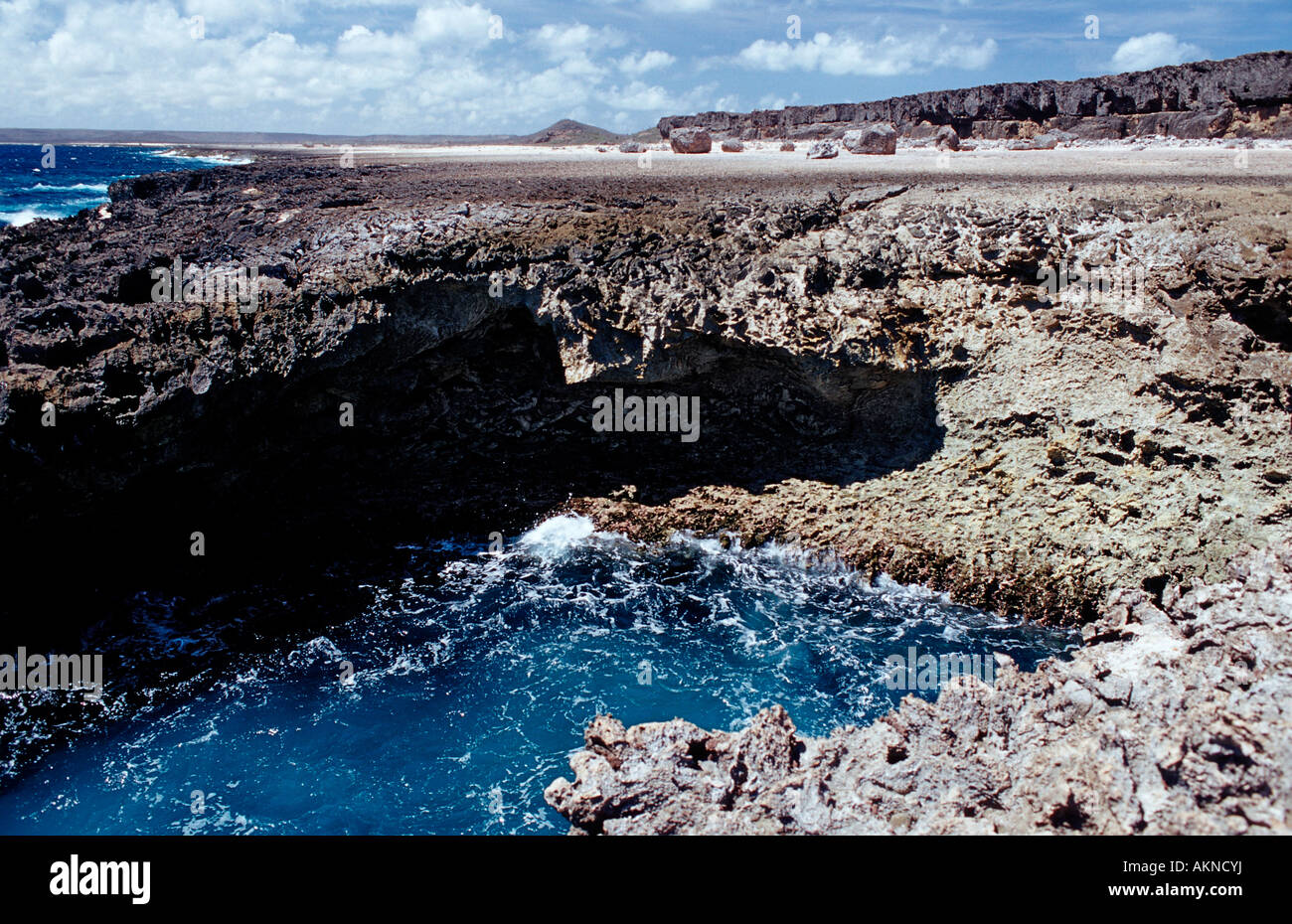 Bonaire vent hi-res stock photography and images - Alamy