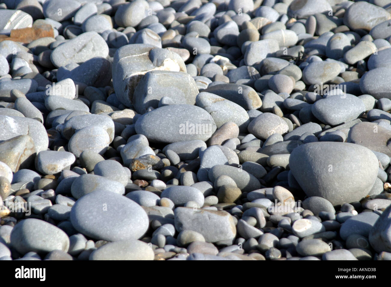 pebbles on beach Stock Photo - Alamy