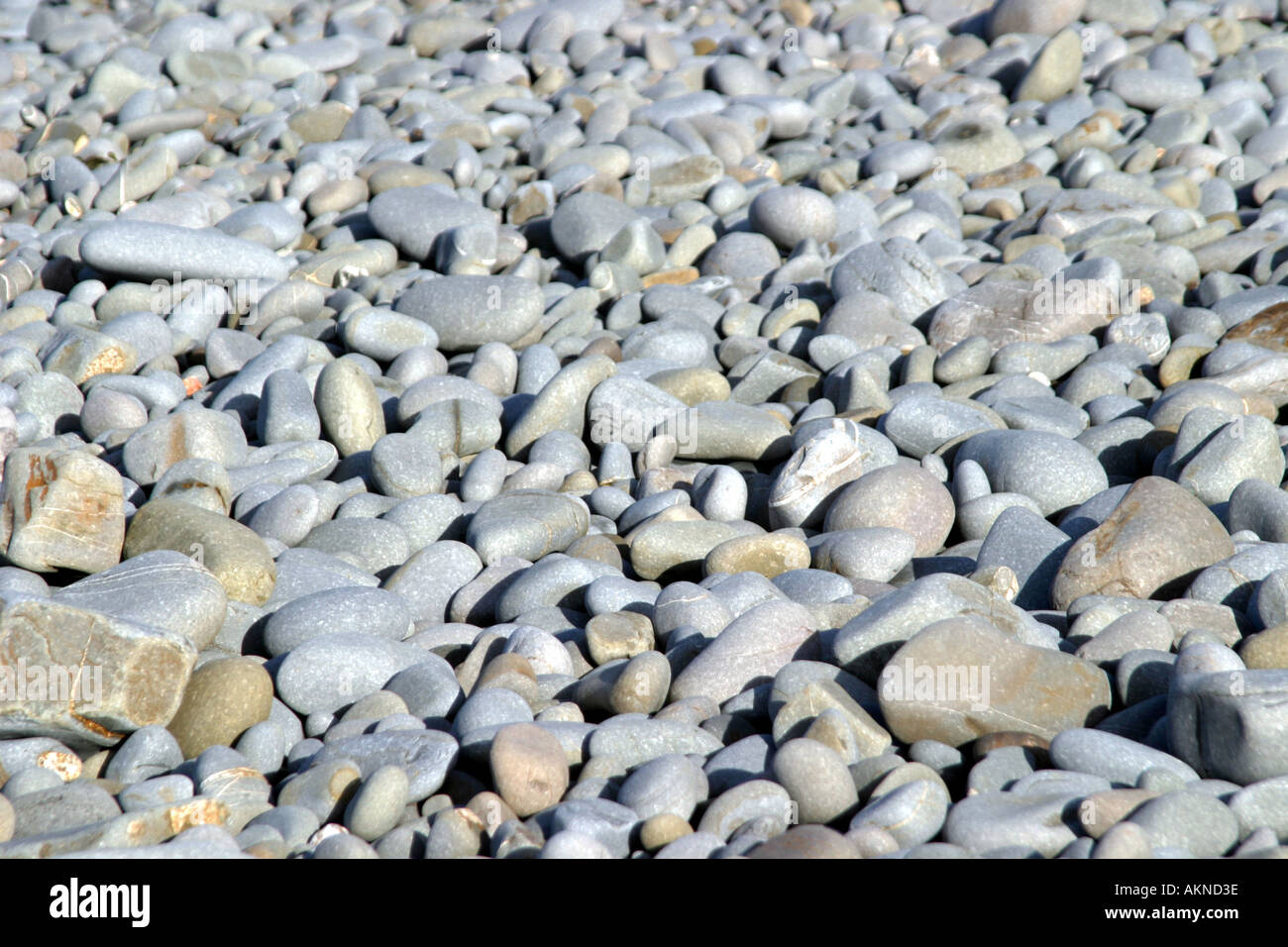 pebbles on beach Stock Photo - Alamy