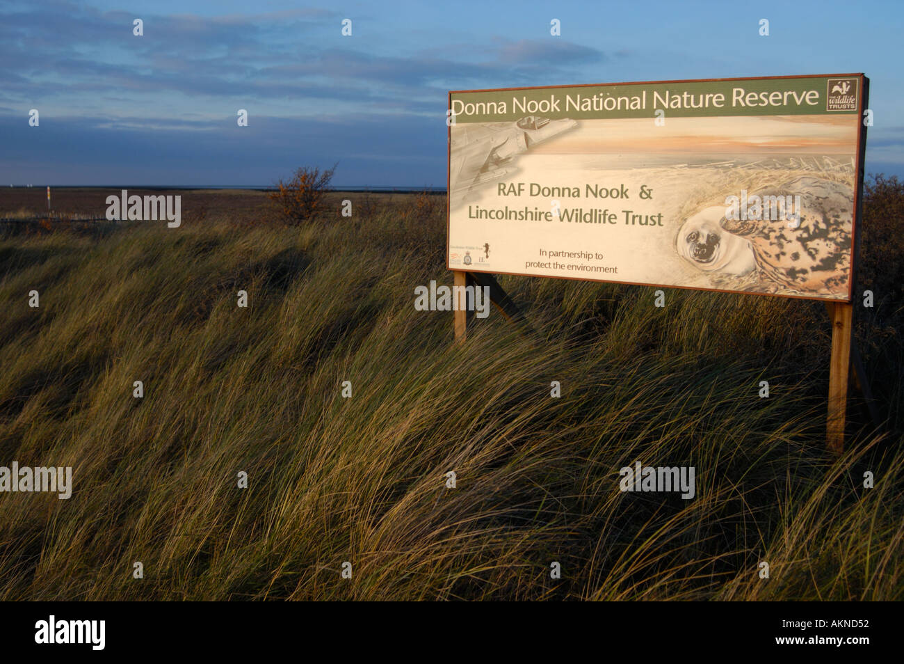 Donna nook national nature reserve hi-res stock photography and images ...