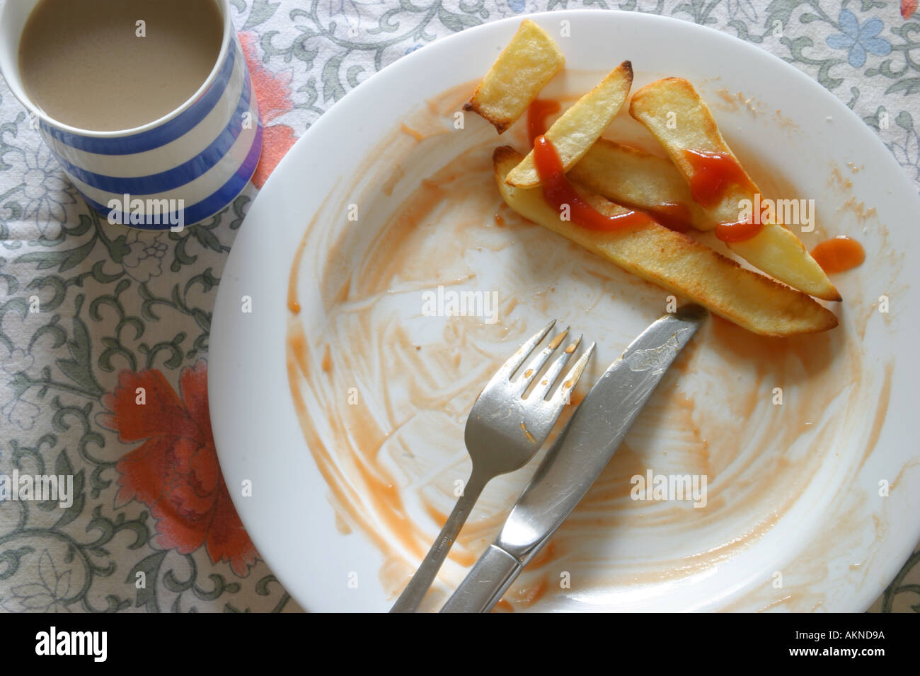 leftovers of greasy meal Stock Photo - Alamy