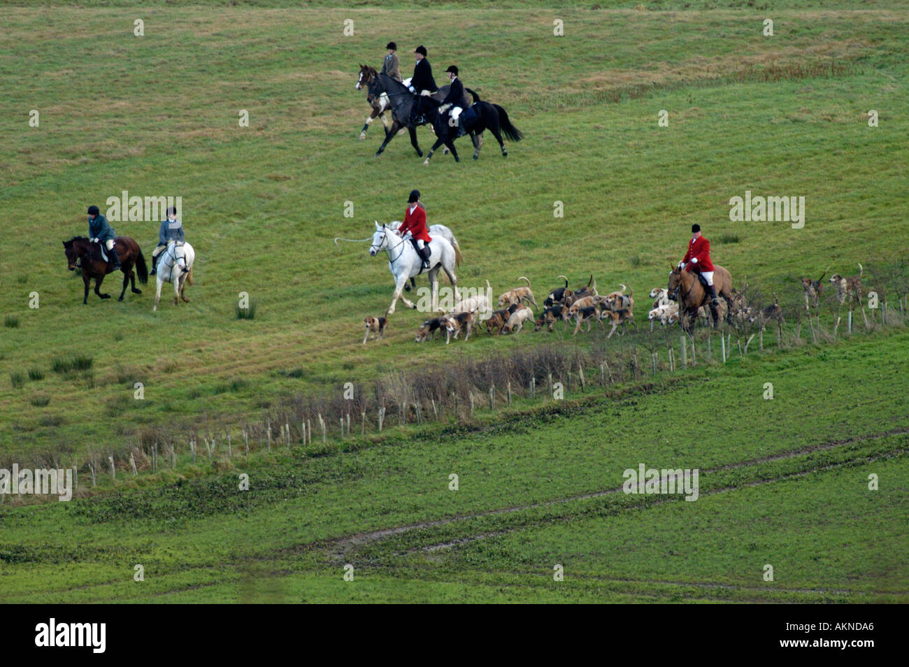 Foxhunting England High Resolution Stock Photography and Images - Alamy