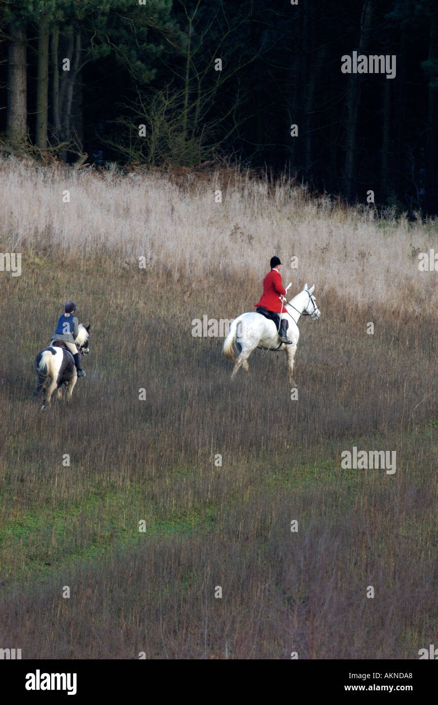 Fox hunting on the Lincolnshire Wolds Stock Photo - Alamy
