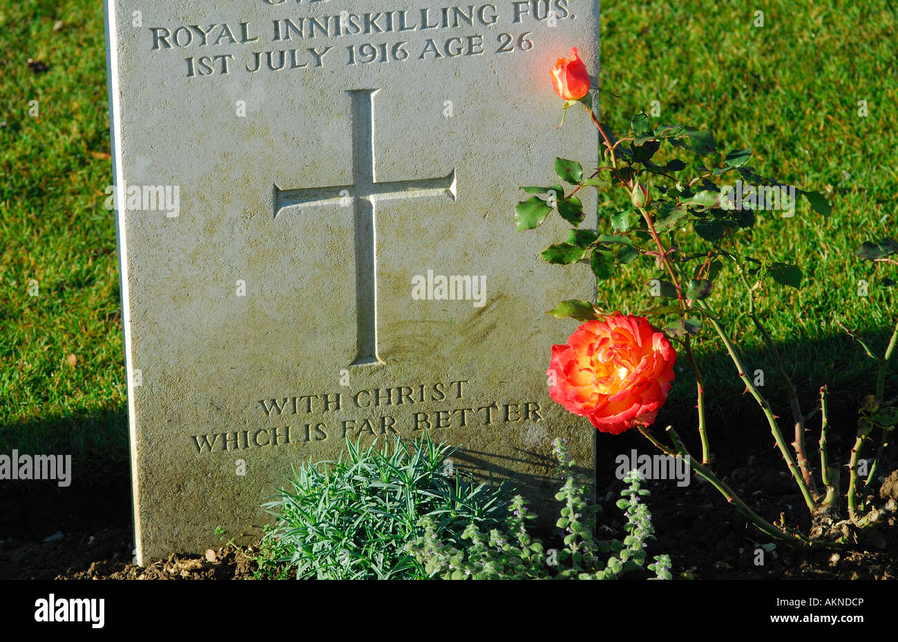 Headstones in Connaught Cemetery, Somme, France Stock Photo - Alamy