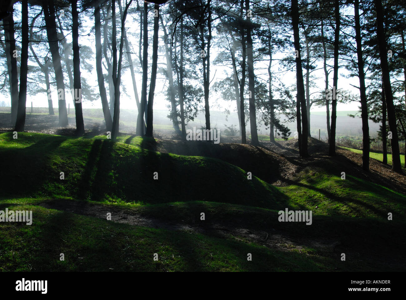 Artillery Craters High Resolution Stock Photography and Images - Alamy