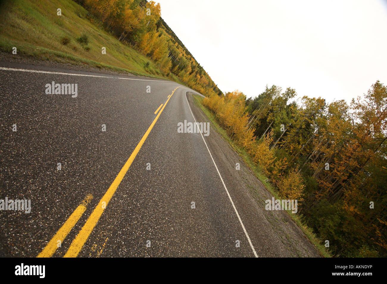 Centerlines along a paved road in autumn Stock Photo - Alamy