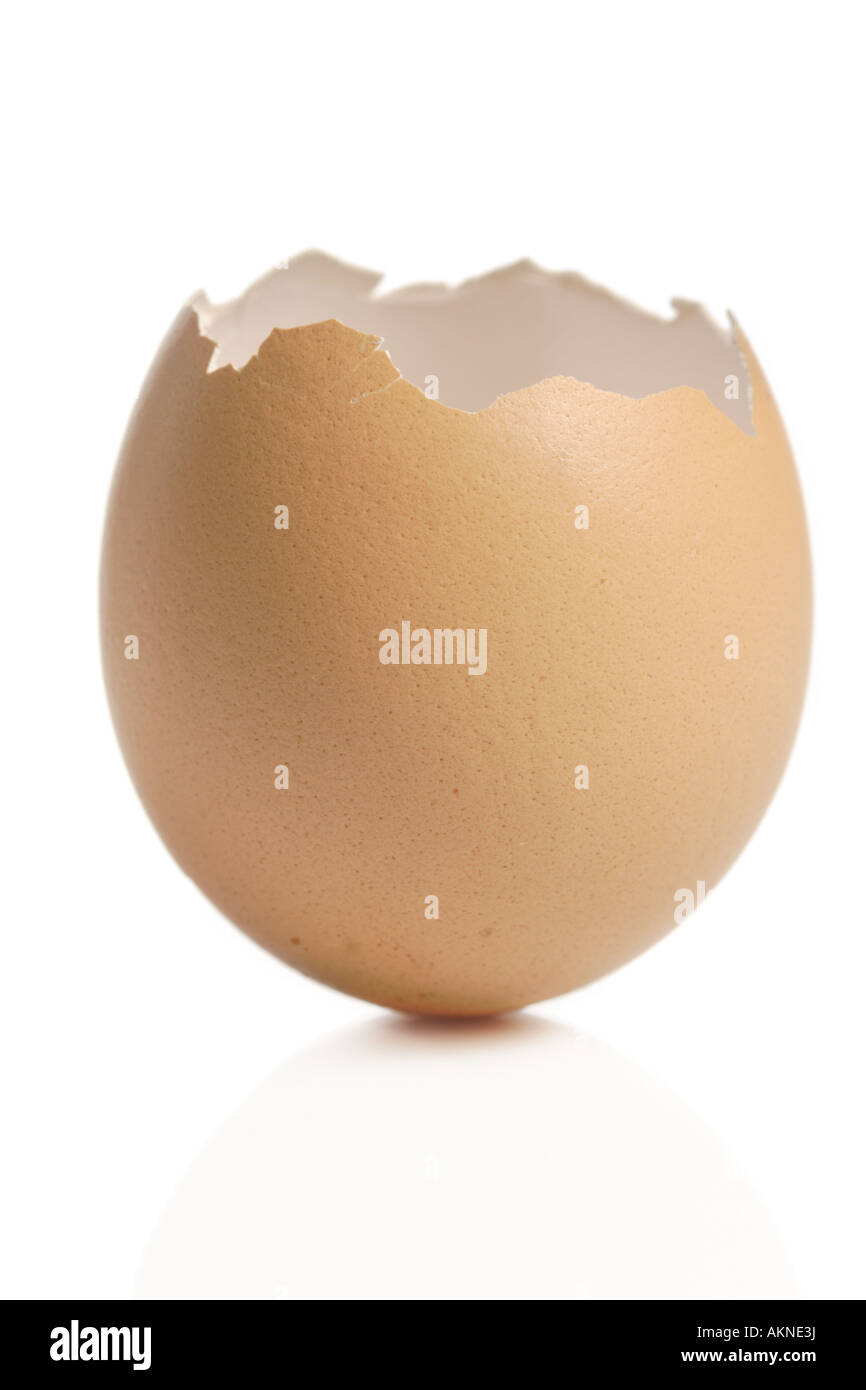 Chicken egg hatching shell nest Cut Out Stock Images & Pictures - Alamy