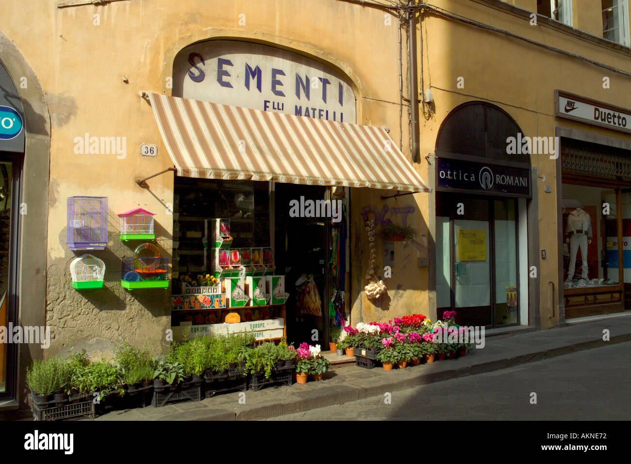 Lucca Tuscany Italy Shop front Stock Photo - Alamy
