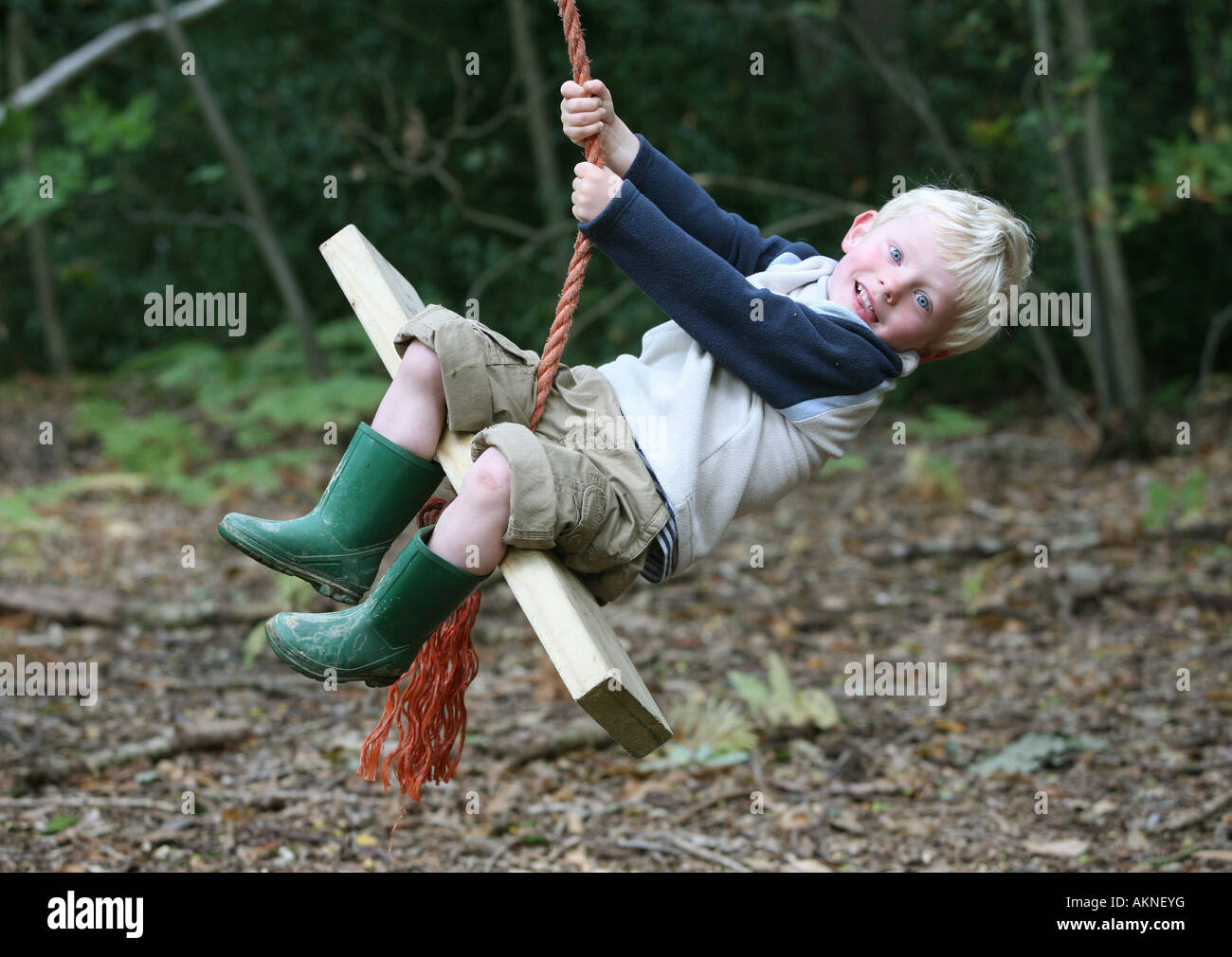 A young boy on a rope swing in some woodland Stock Photo - Alamy