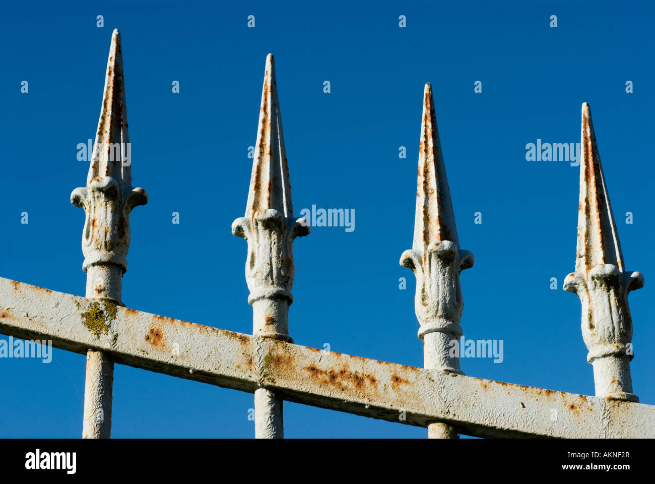 Photo spikes hi-res stock photography and images - Alamy