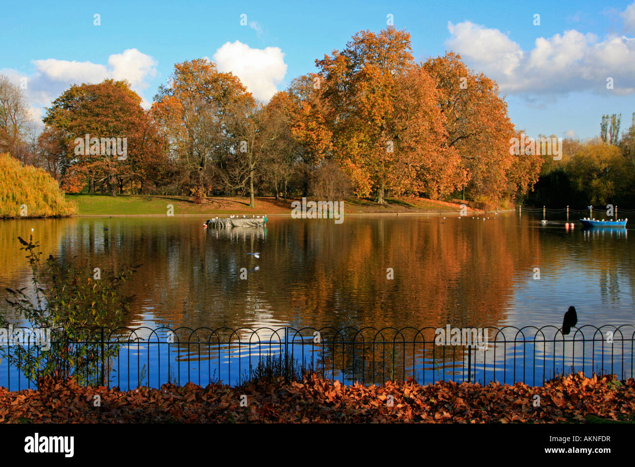 autumn colours regents park royal park boating lake leaves london ...