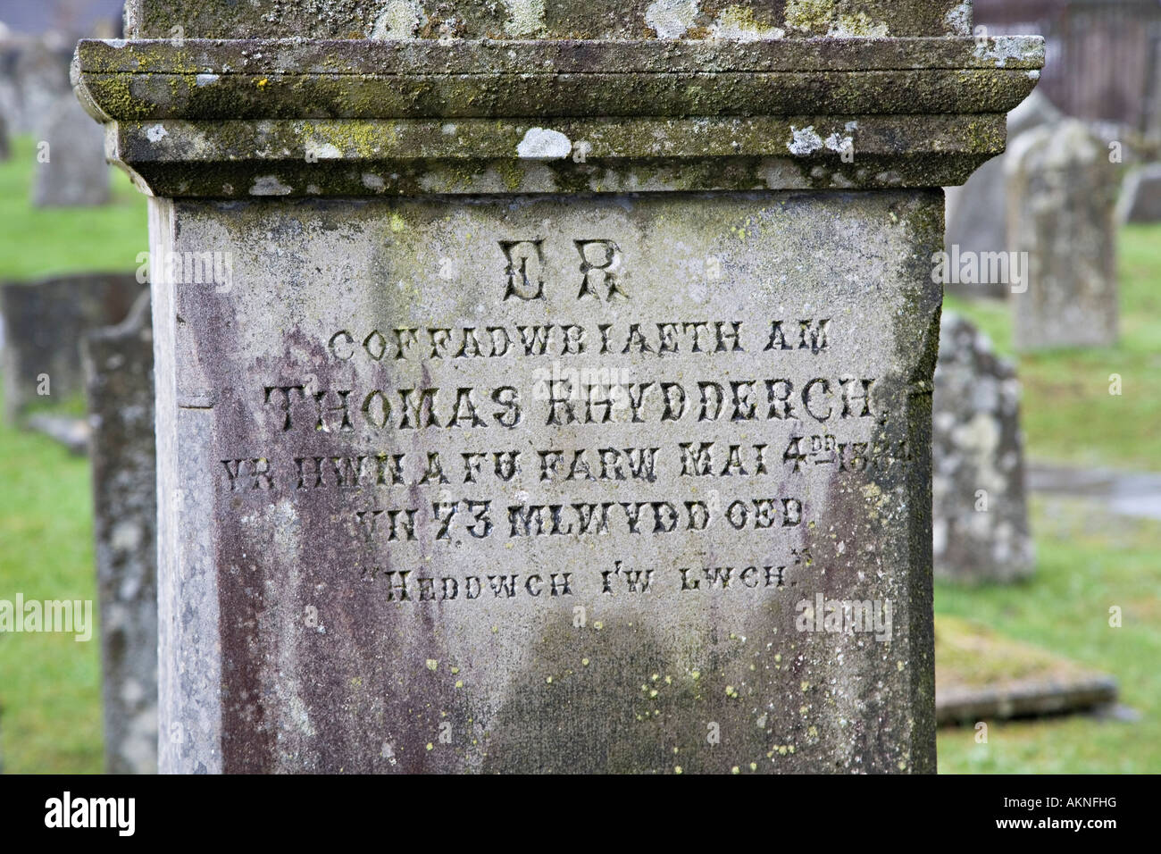Gravestone in Welsh language Llandovery Wales UK Stock Photo - Alamy