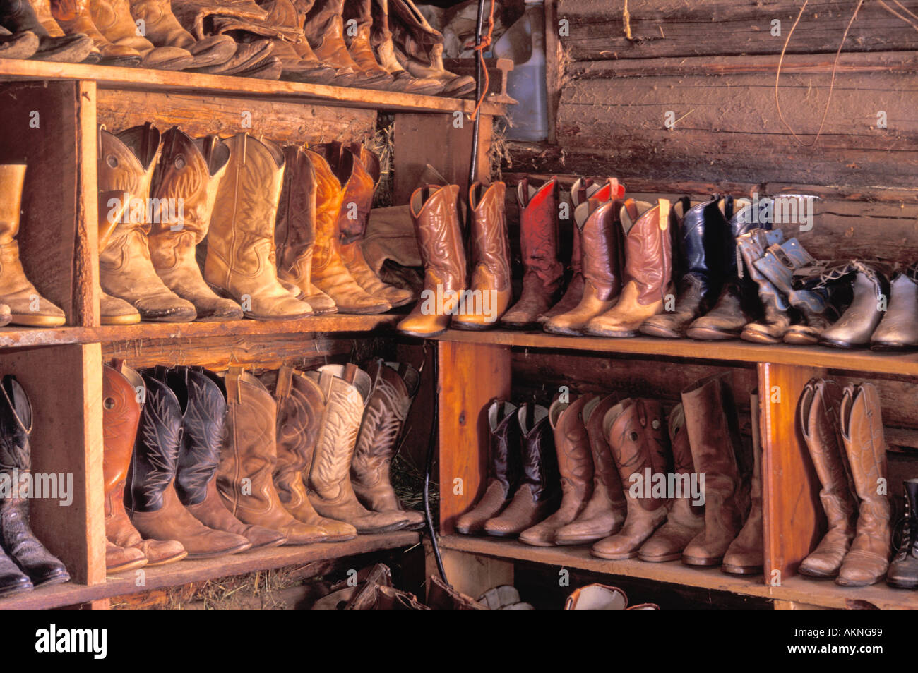 Shelves of cowboy boots at a dude ranch Stock Photo - Alamy