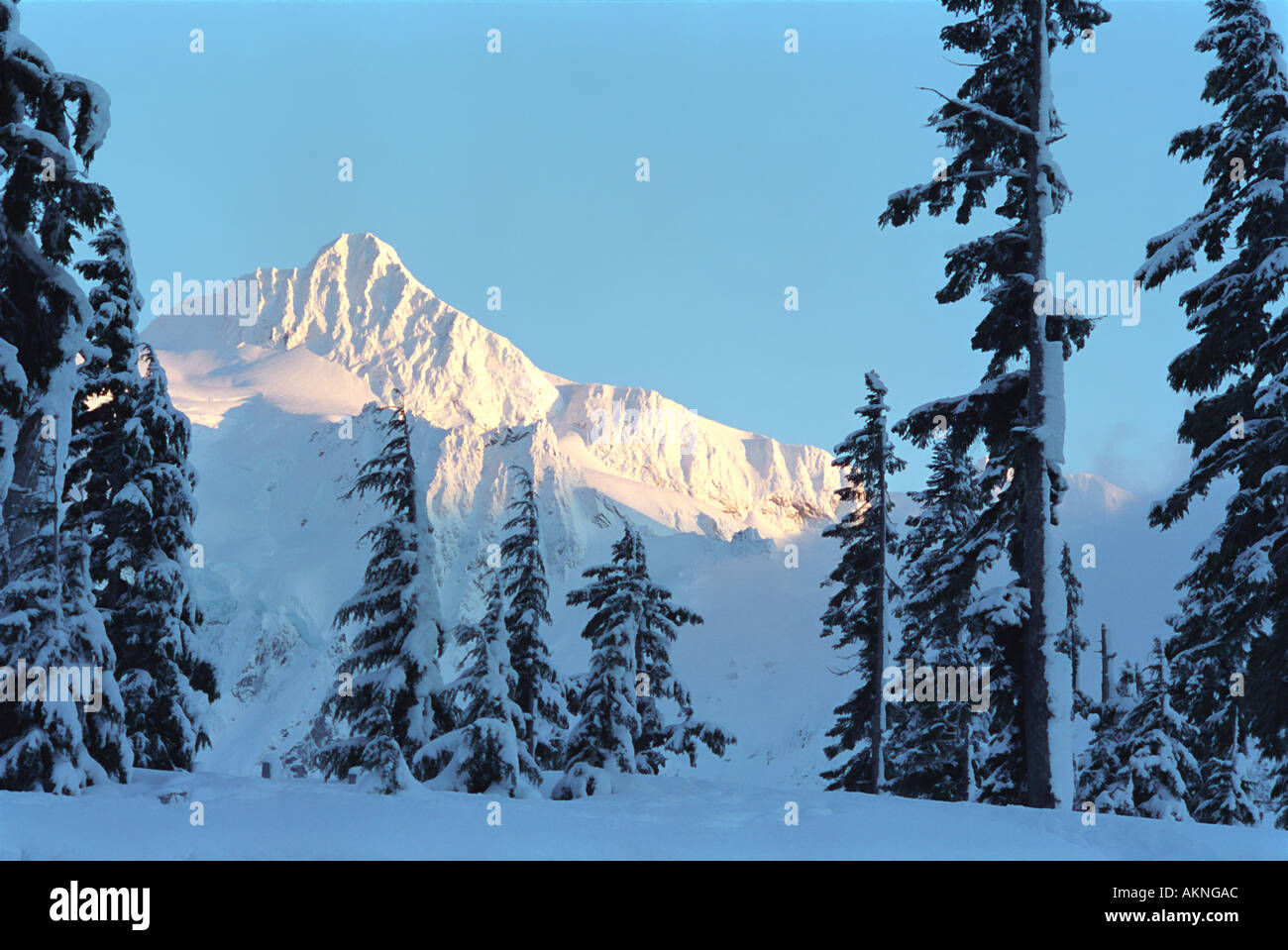 Mount Shuksan in winter Stock Photo - Alamy