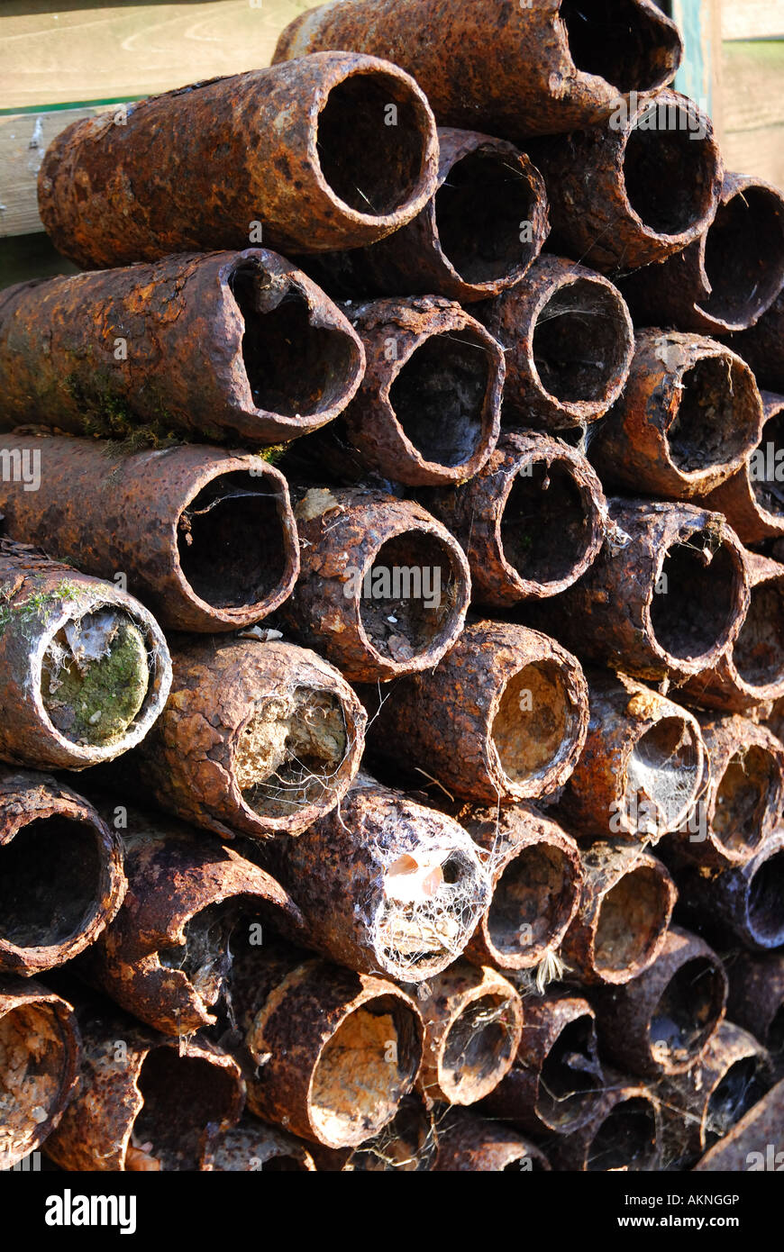 Old artillery shell casings from the First World War, Somme, France ...