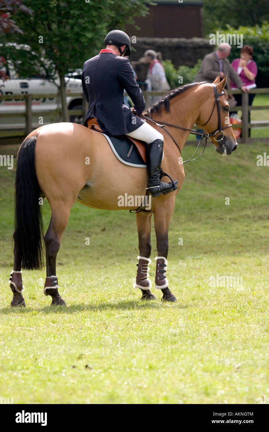 Showjumping at the Royal Highland Show, Ingilston Stock Photo - Alamy