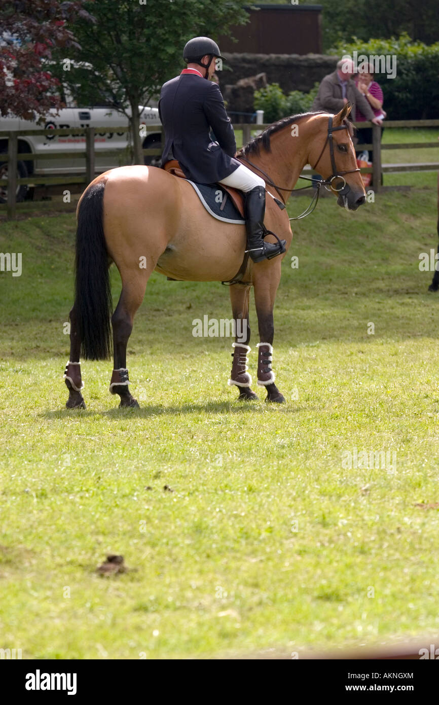 Showjumping at the Royal Highland Show, Ingilston Stock Photo - Alamy