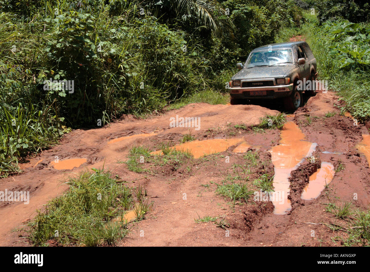 Logging congo hi-res stock photography and images - Alamy