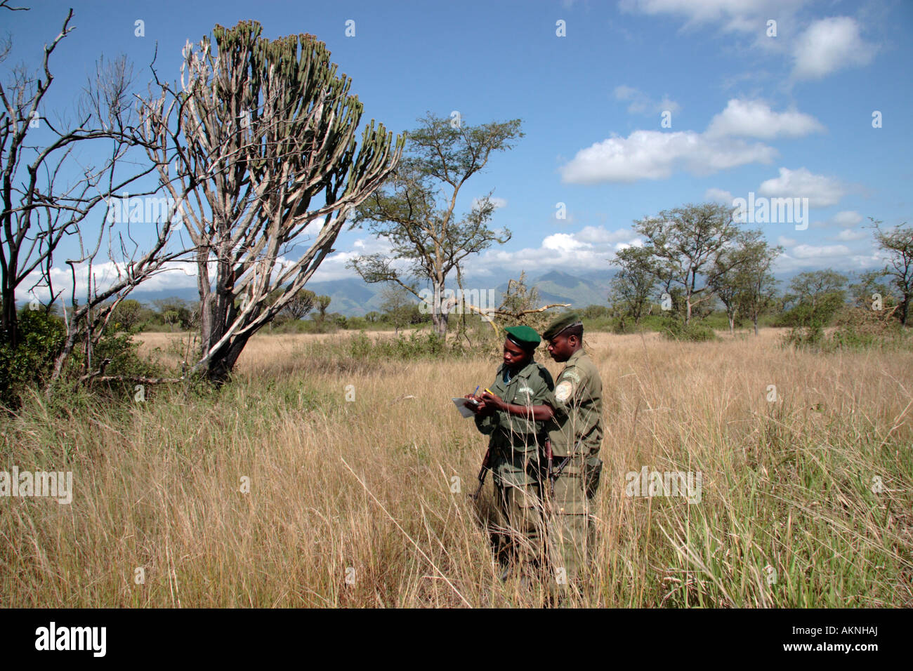 Game rangers hi-res stock photography and images - Alamy