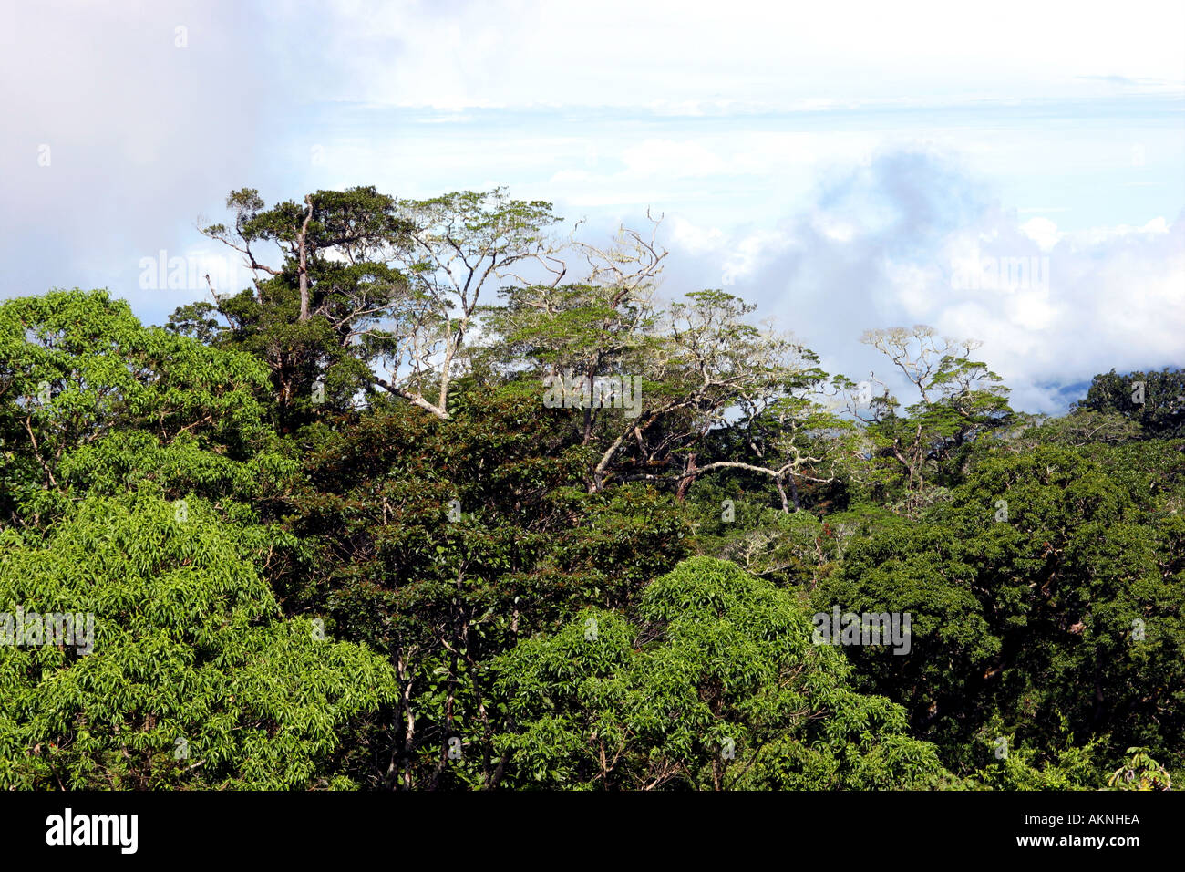 Durika Costa Rica High Resolution Stock Photography and Images - Alamy