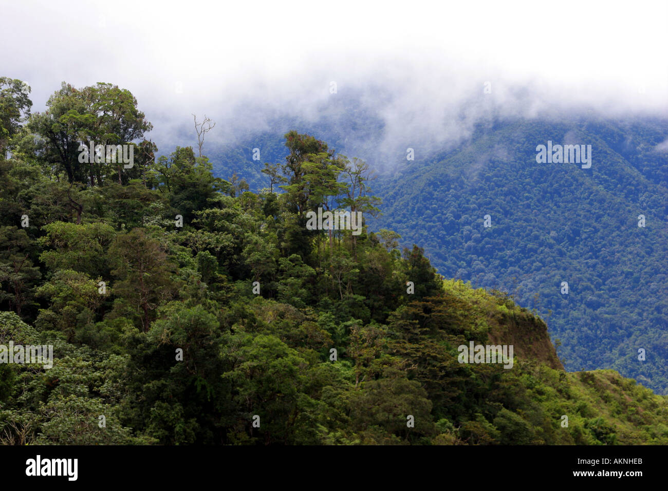 Durika Costa Rica High Resolution Stock Photography and Images - Alamy