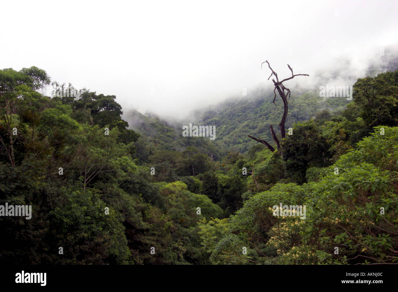 Durika Costa Rica High Resolution Stock Photography and Images - Alamy