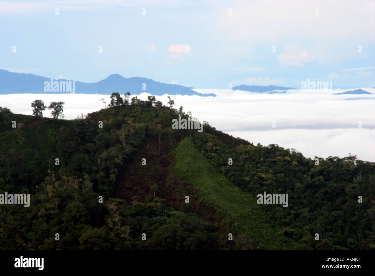 Durika costa rica hi-res stock photography and images - Alamy