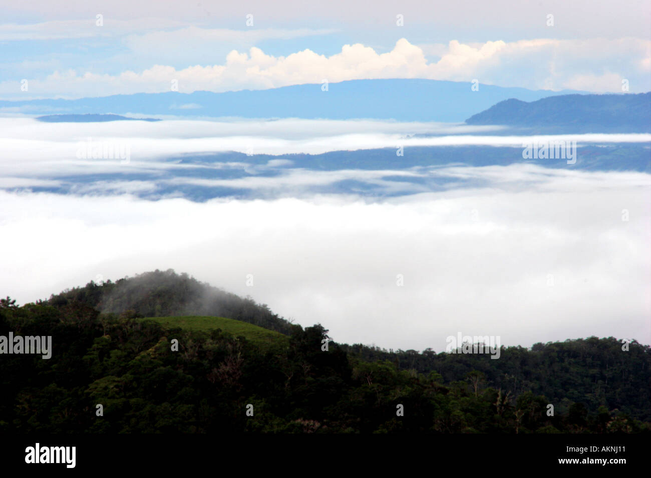 durika cloud forest costa rica Stock Photo - Alamy