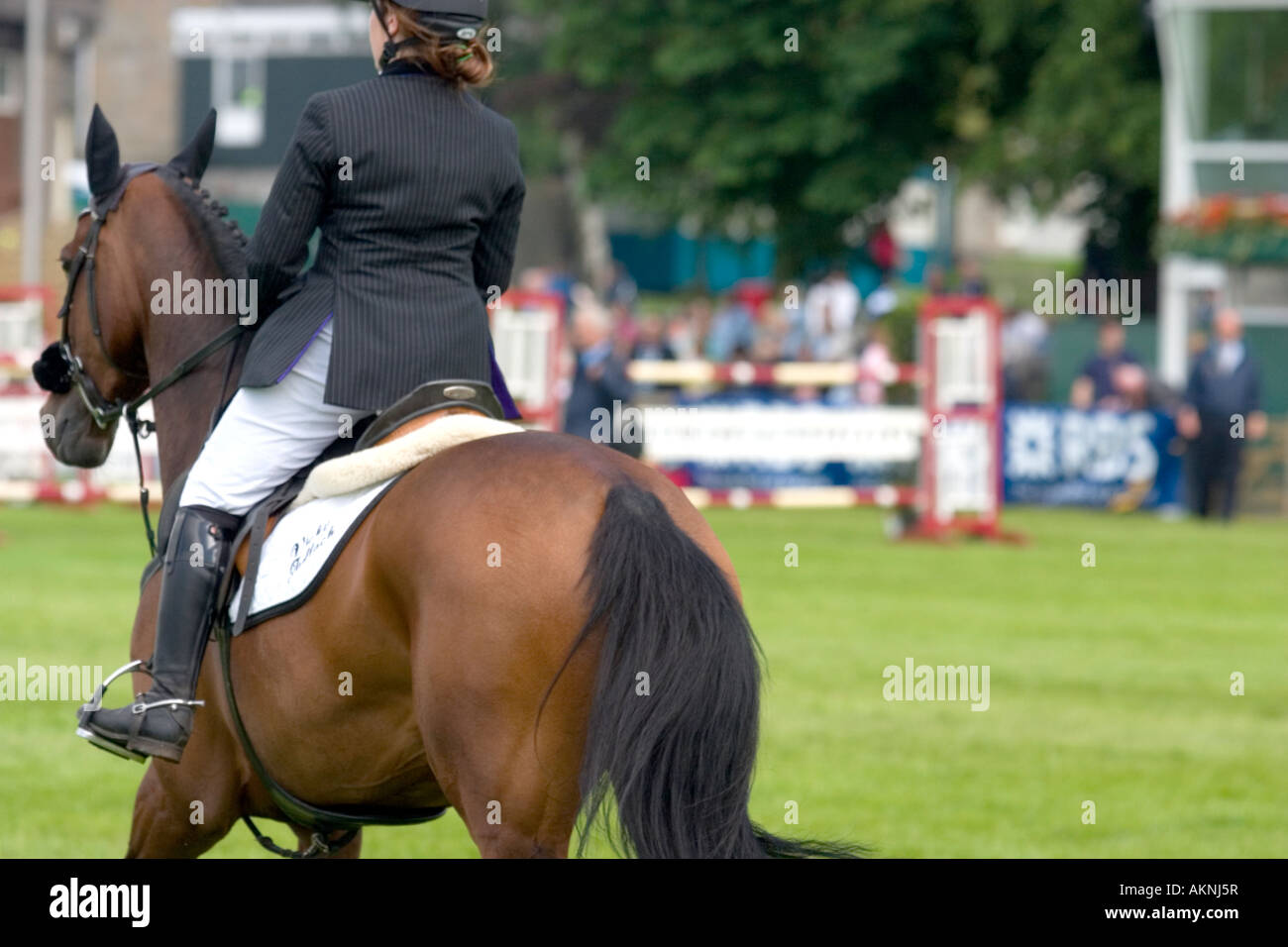 Showjumping at the Royal Highland Show, Ingilston Stock Photo - Alamy