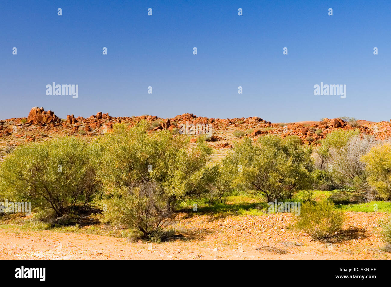 Desert Vista South Australia Stock Photo - Alamy