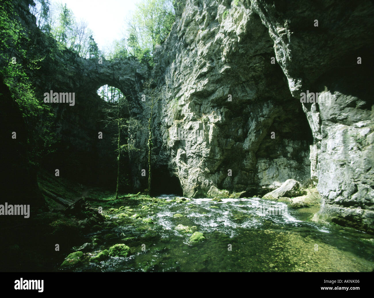 Rakov Skocjian caves Notranjska Slovenia Stock Photo - Alamy