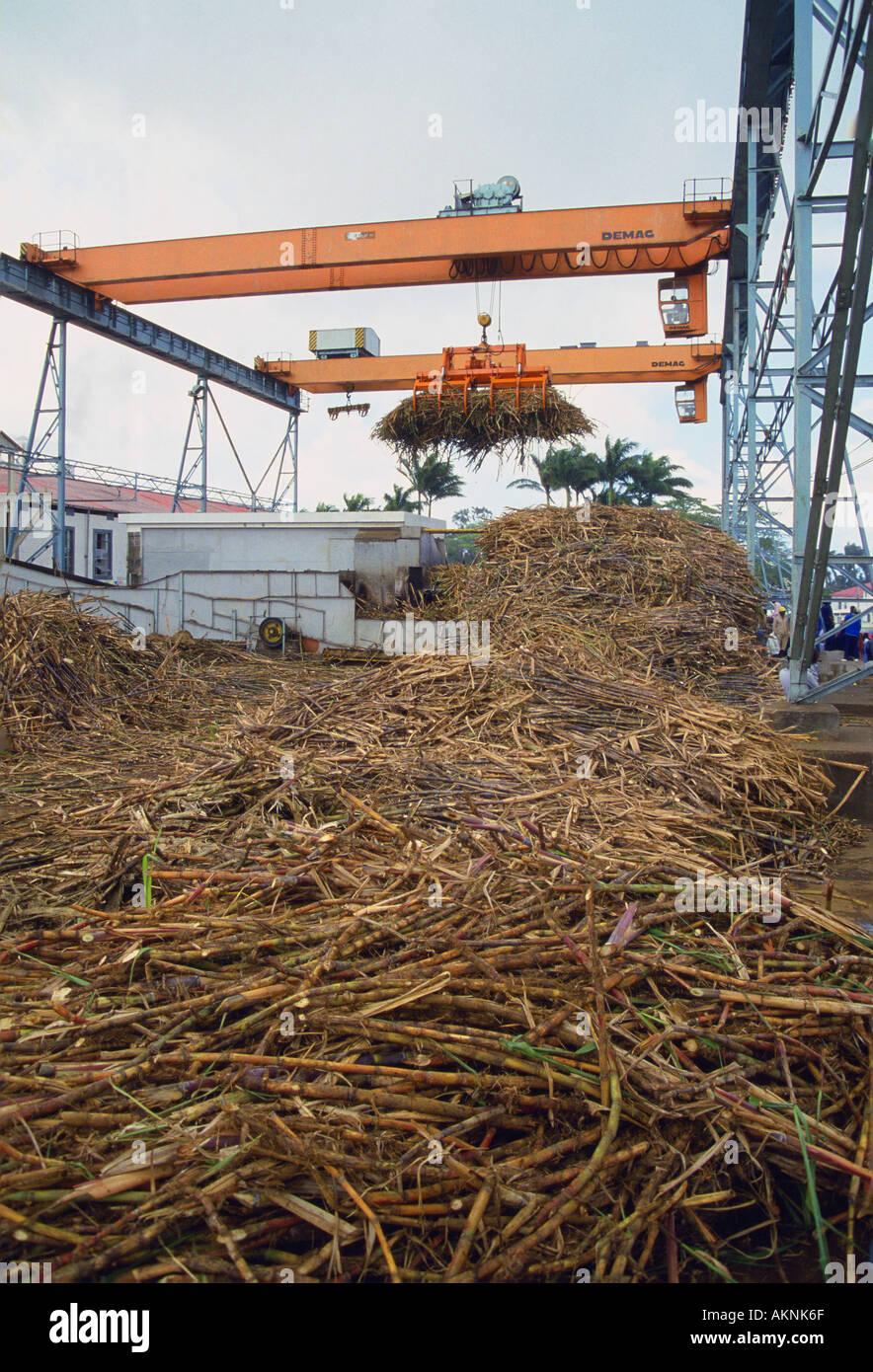 Sugar beets sugar factory hi-res stock photography and images - Alamy