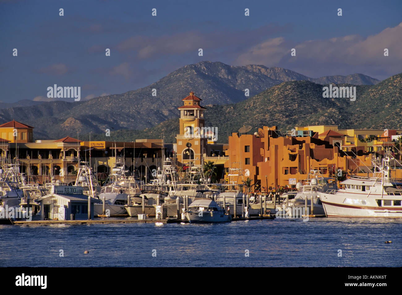 Harbor at Cabo San Lucas, Baja California Sur, Mexico Stock Photo - Alamy