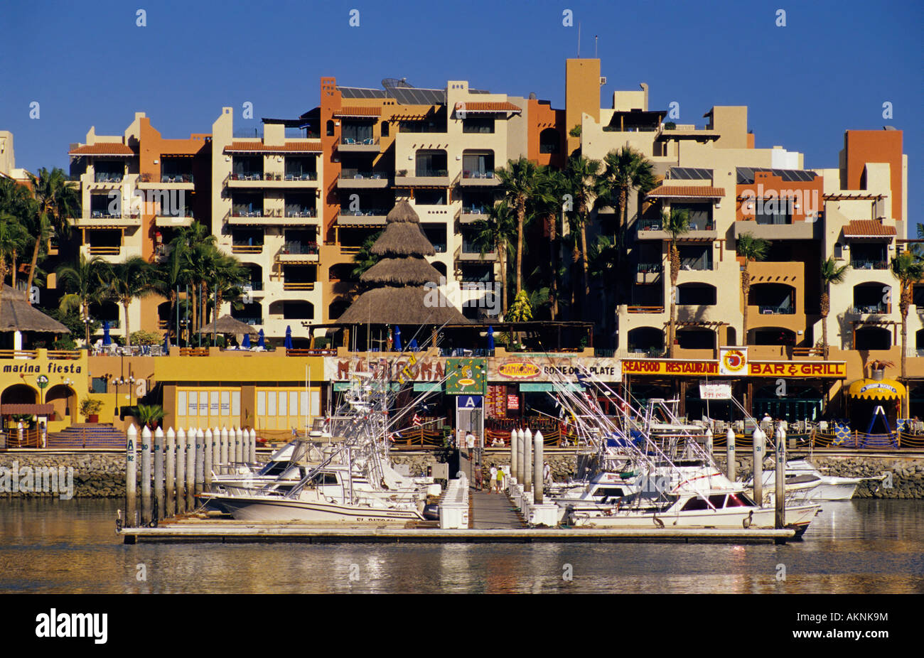 Harbor at Cabo San Lucas, Baja California Sur, Mexico Stock Photo - Alamy